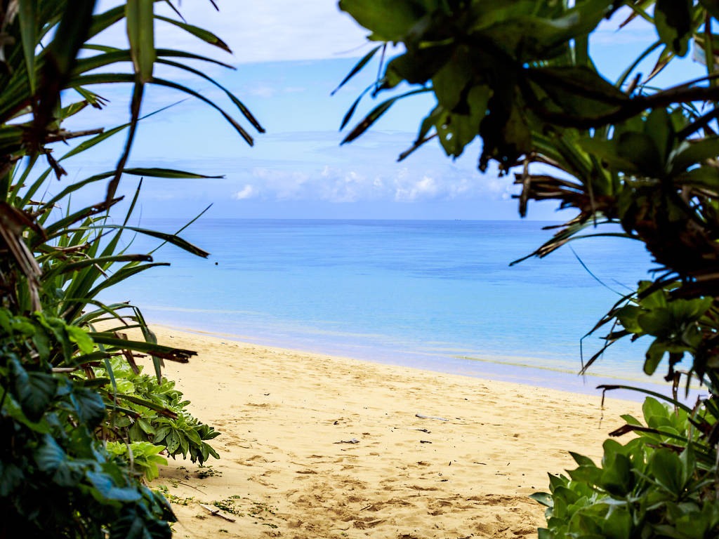 Top 20 things to do in Ishigaki