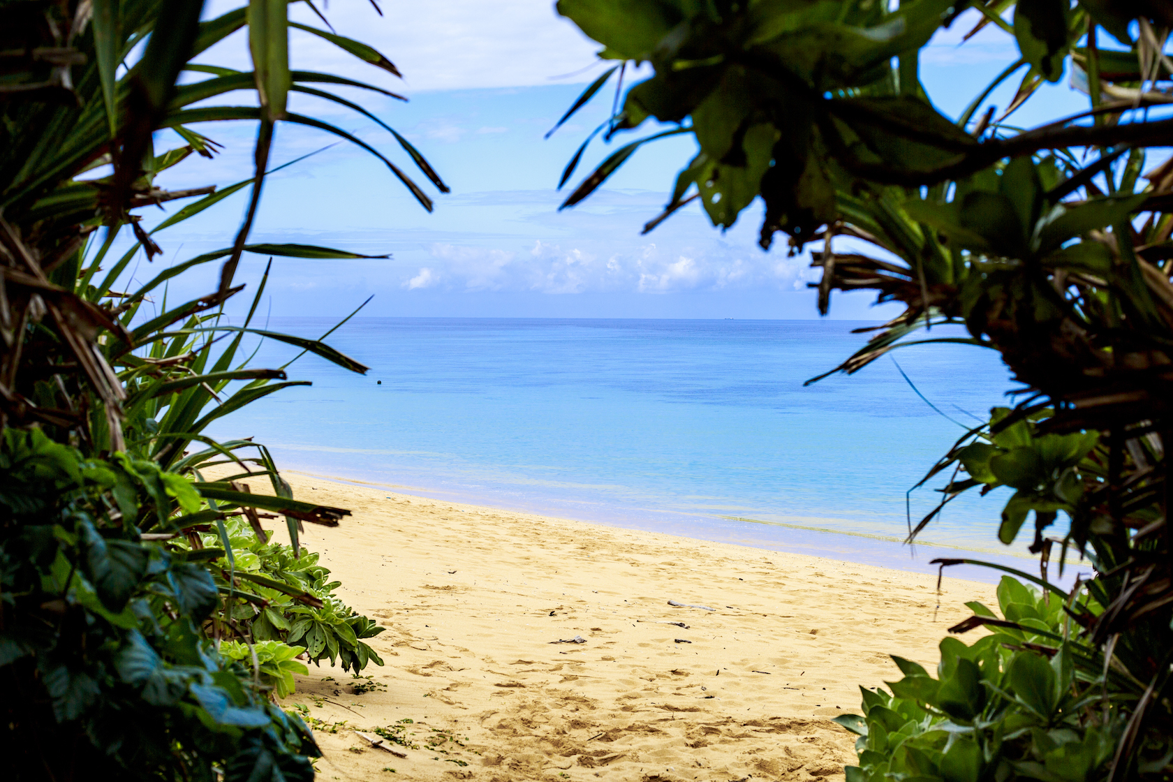 Top 20 things to do in Ishigaki