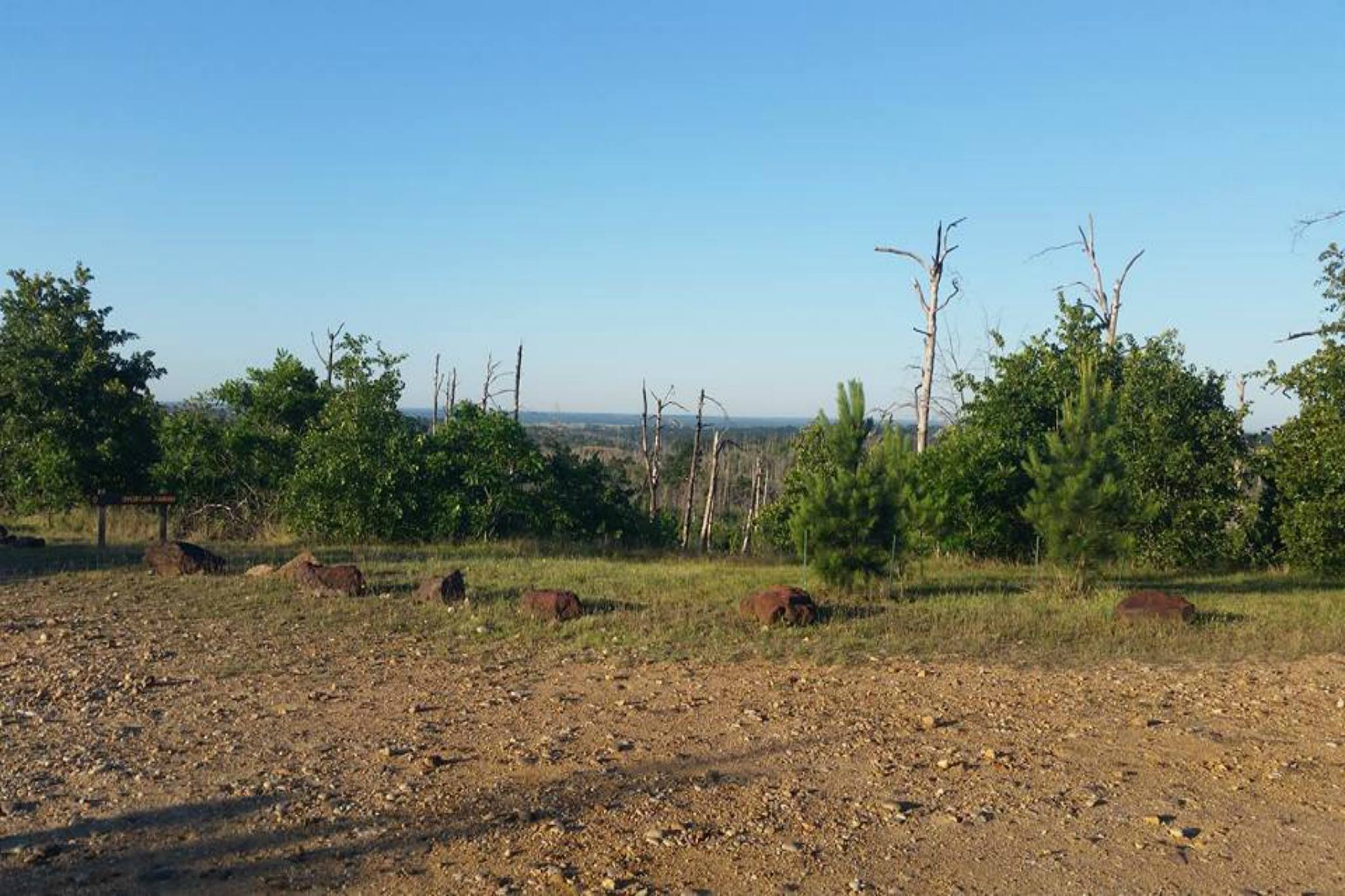 Bastrop State Park | Attractions in Austin