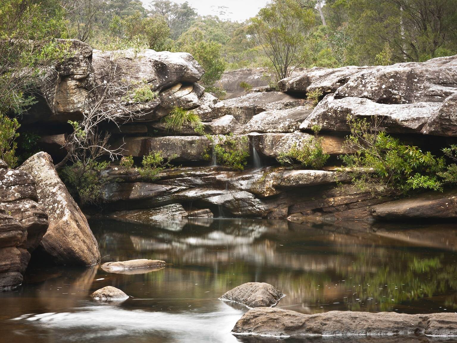 The best bushland swimming holes near Sydney