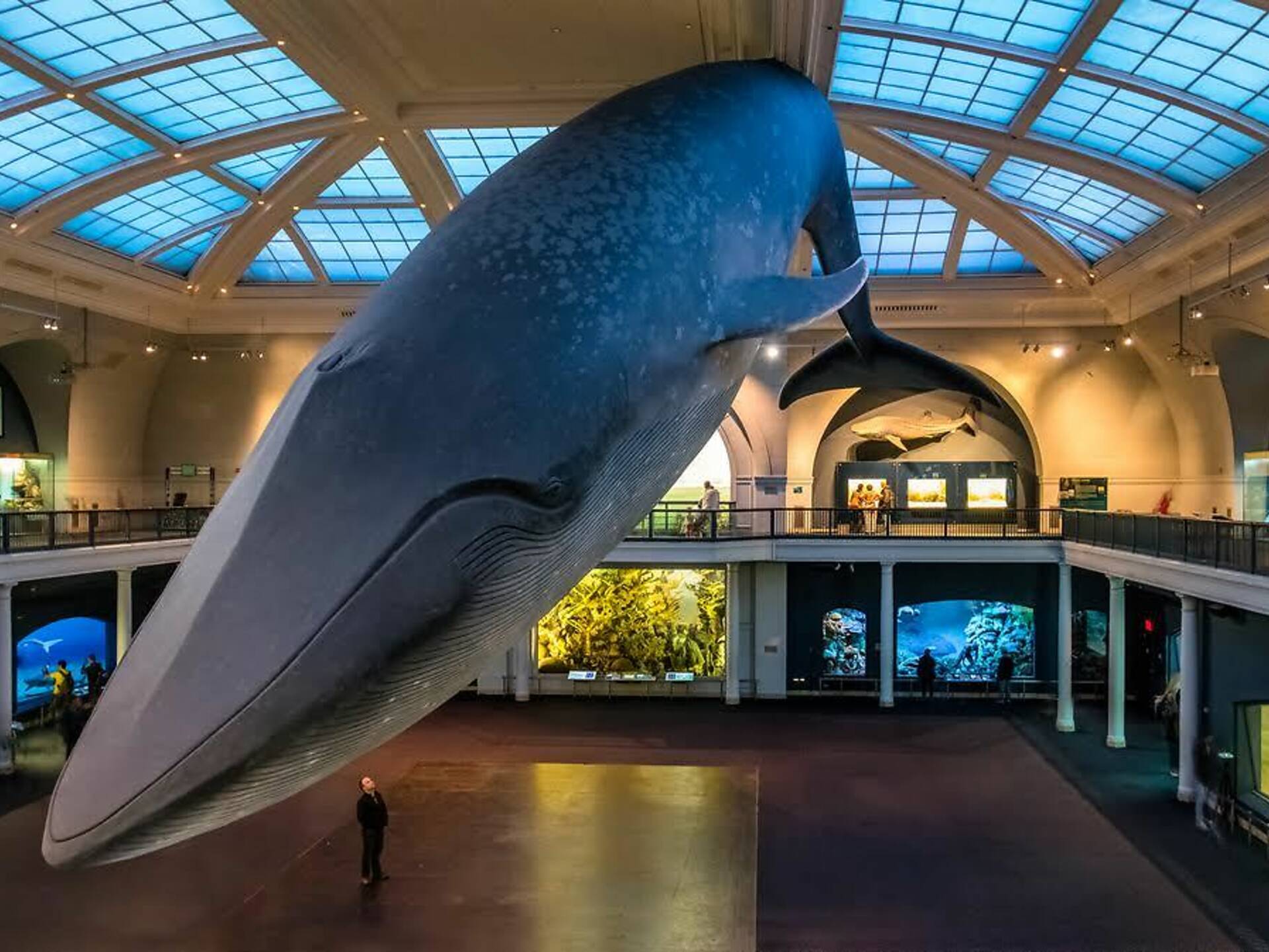 11 Best Kids Museums in NYC for Fun and Learning