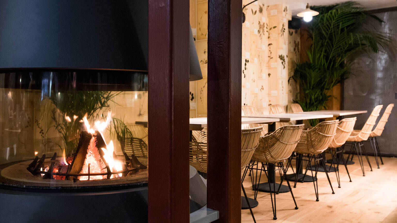 Antipodea | Restaurants in Richmond, London