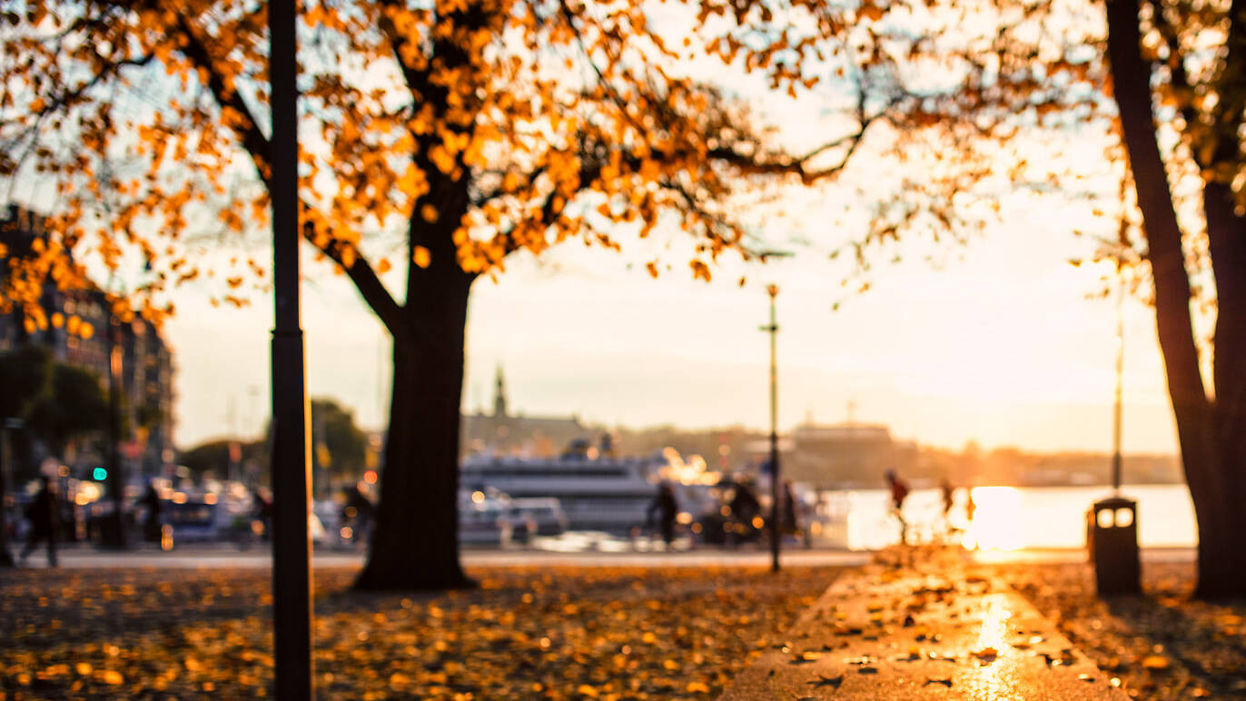 Best Times to Visit Stockholm Throughout the Year