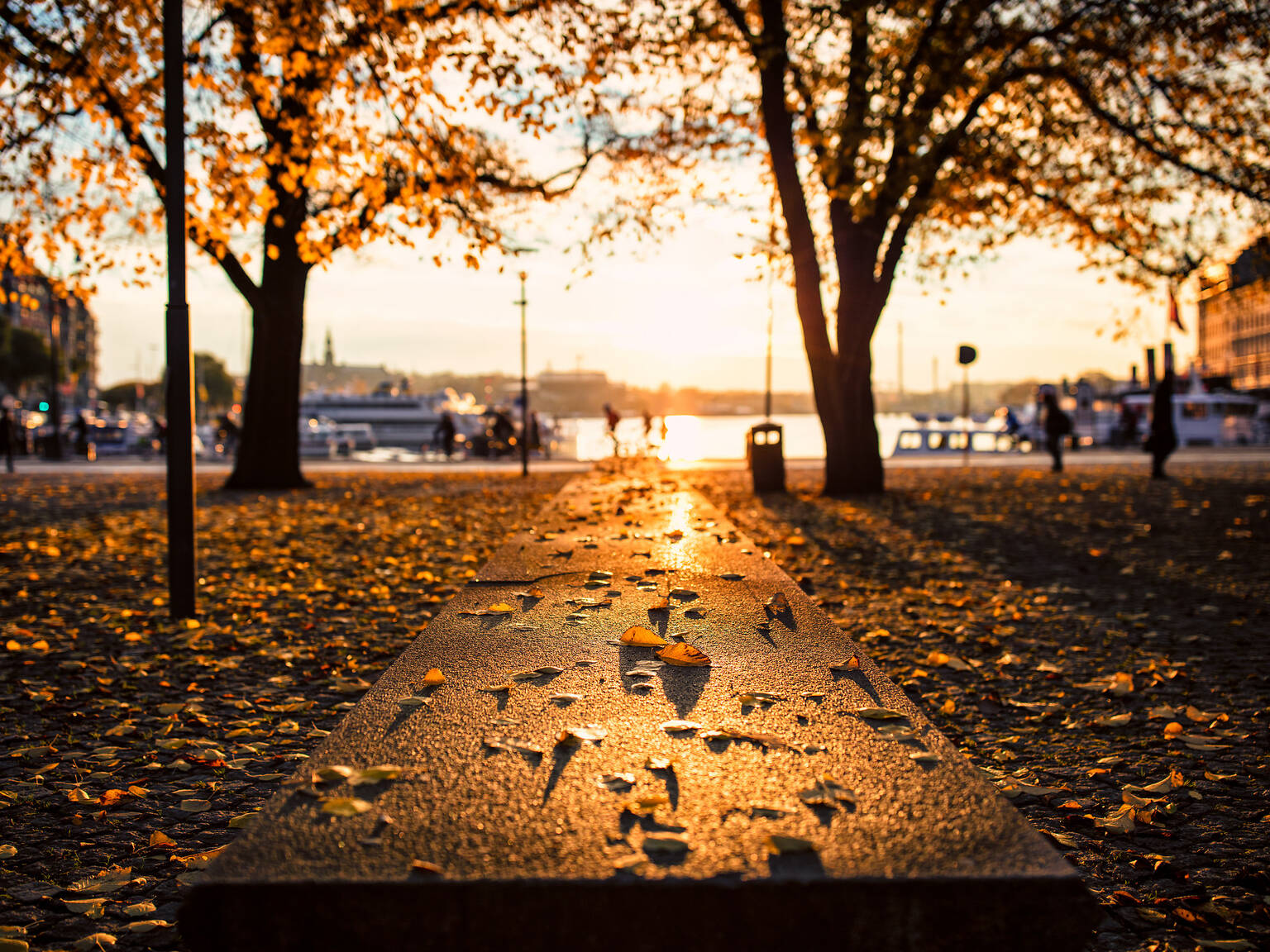 Best Times to Visit Stockholm Throughout the Year