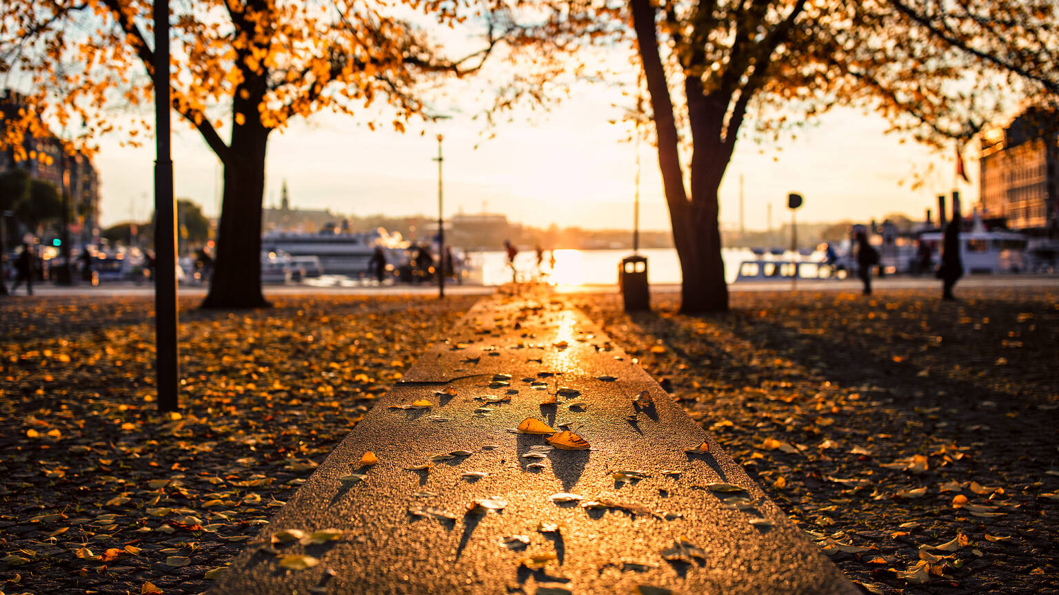 Best Times to Visit Stockholm Throughout the Year