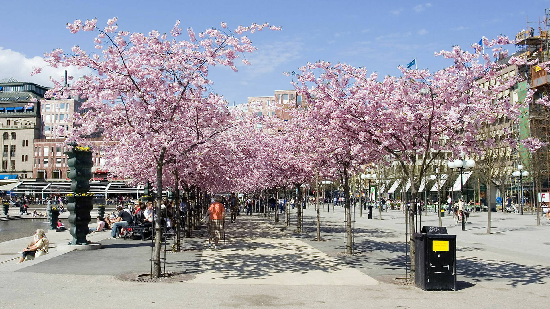 Best Times to Visit Stockholm Throughout the Year