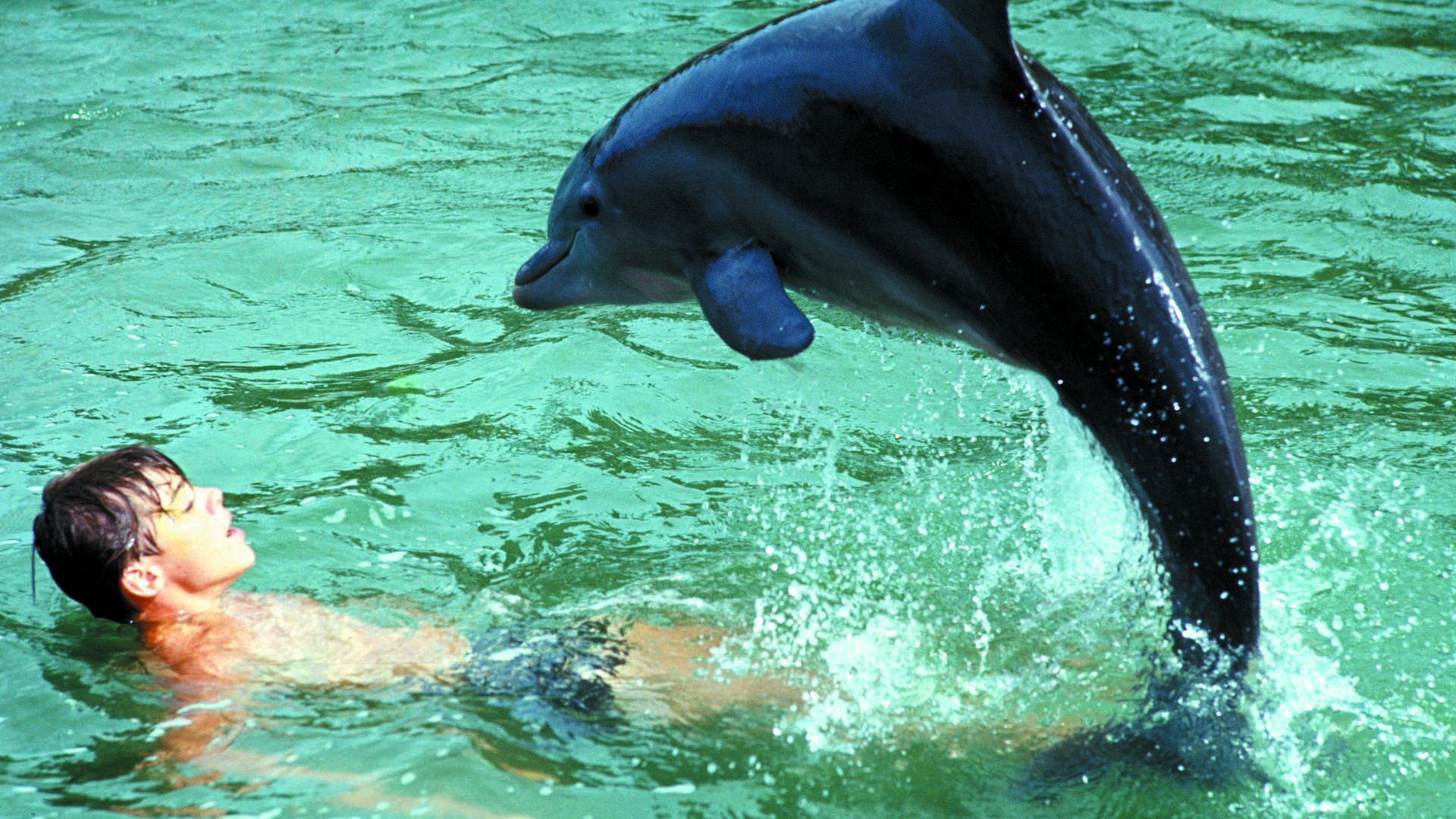 30 Best Animal Movies and Pet Movies To Watch As a Family