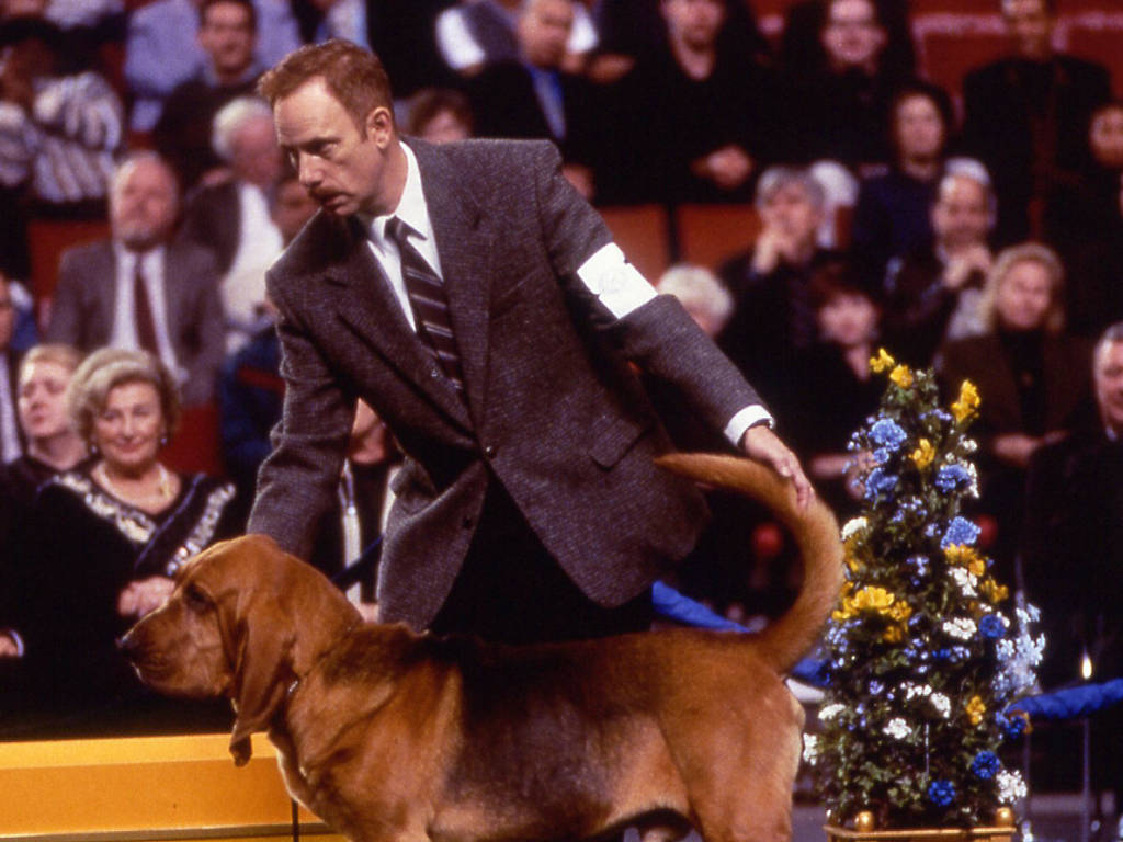 30 Best Animal Movies and Pet Movies To Watch As a Family