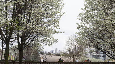 Have an Amazing Spring in Chicago With These Things To Do