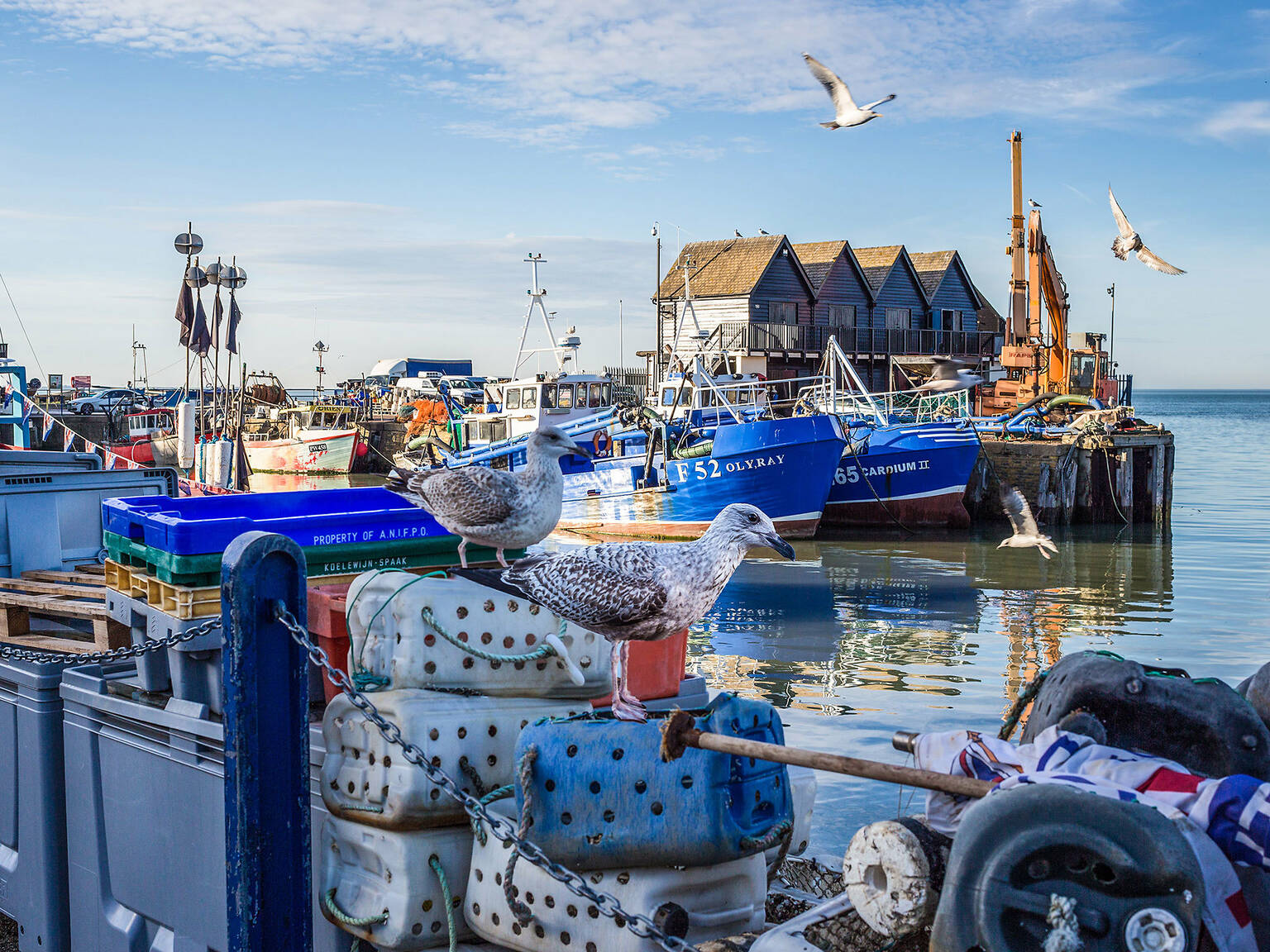 Rye 2025 | Ultimate Guide To Where To Go, Eat & Sleep in Rye | Time Out