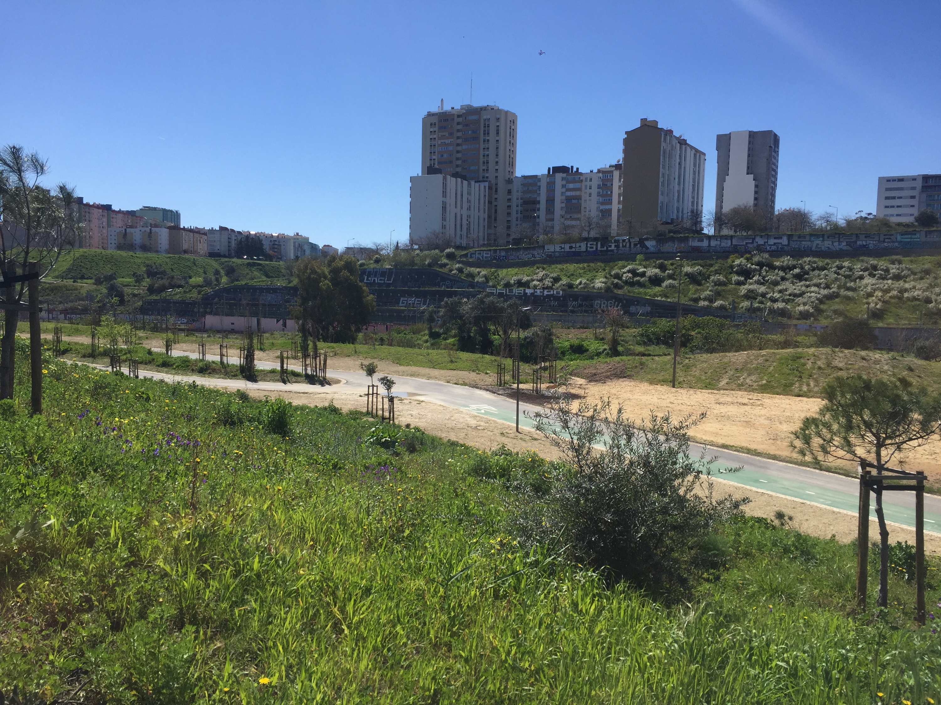 Da Estrela a Monsanto: 21 parques e jardins em Lisboa