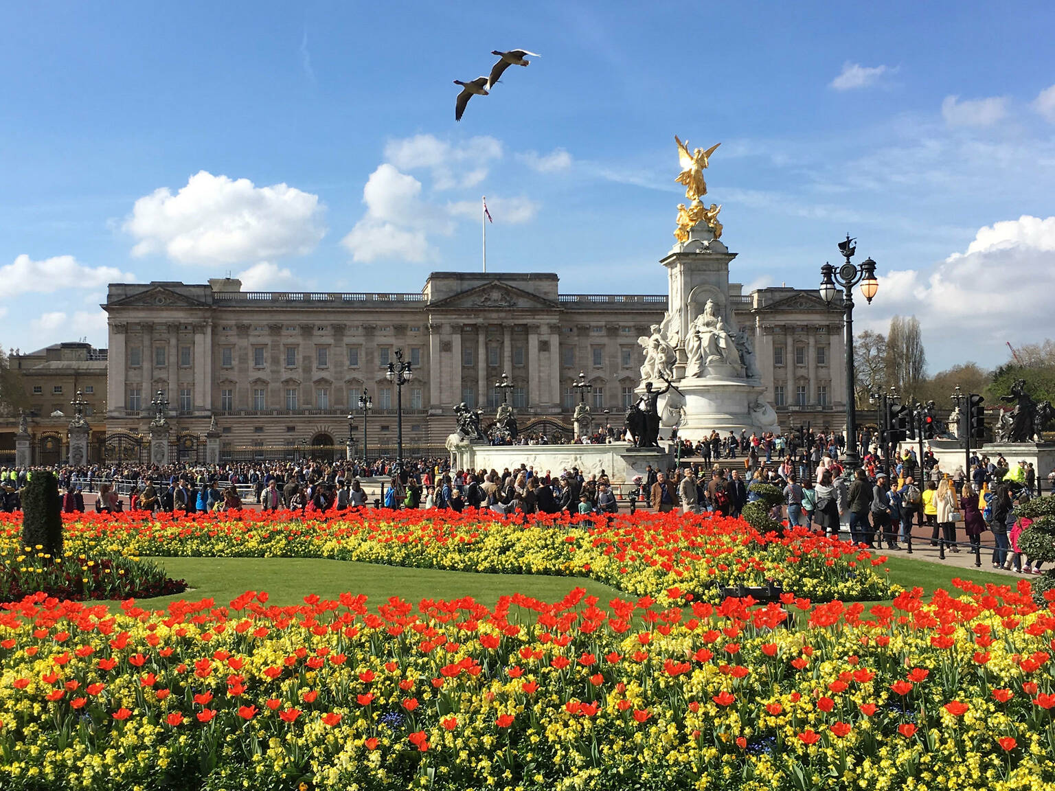 23 Stunning Places To See Spring Flowers in London Parks and Gardens
