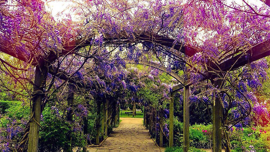 23 Stunning Places To See Spring Flowers in London Parks and Gardens