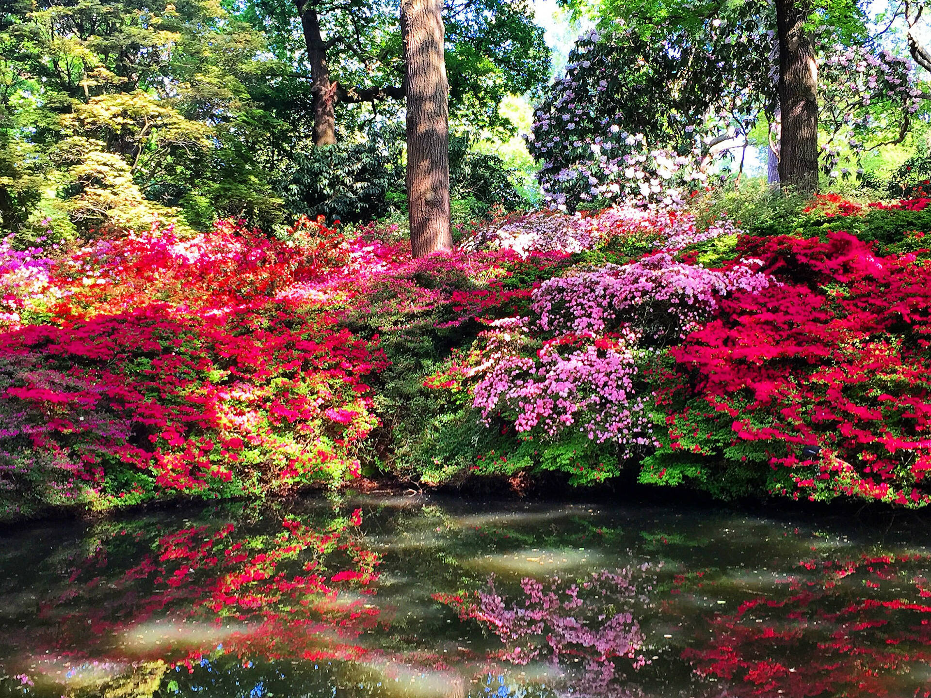 23 Stunning Places To See Spring Flowers in London Parks and Gardens