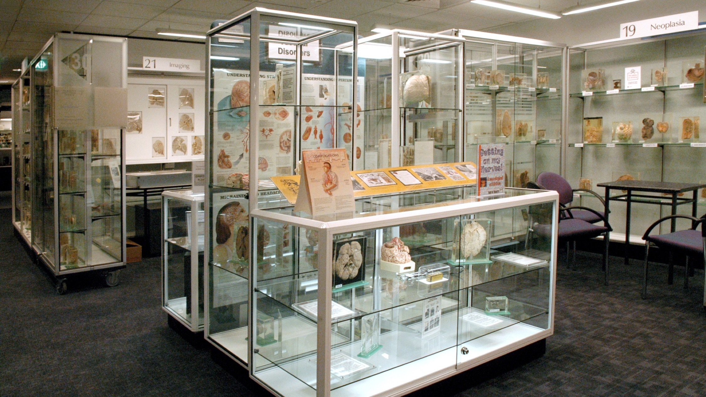 Museum of Human Disease Sydney