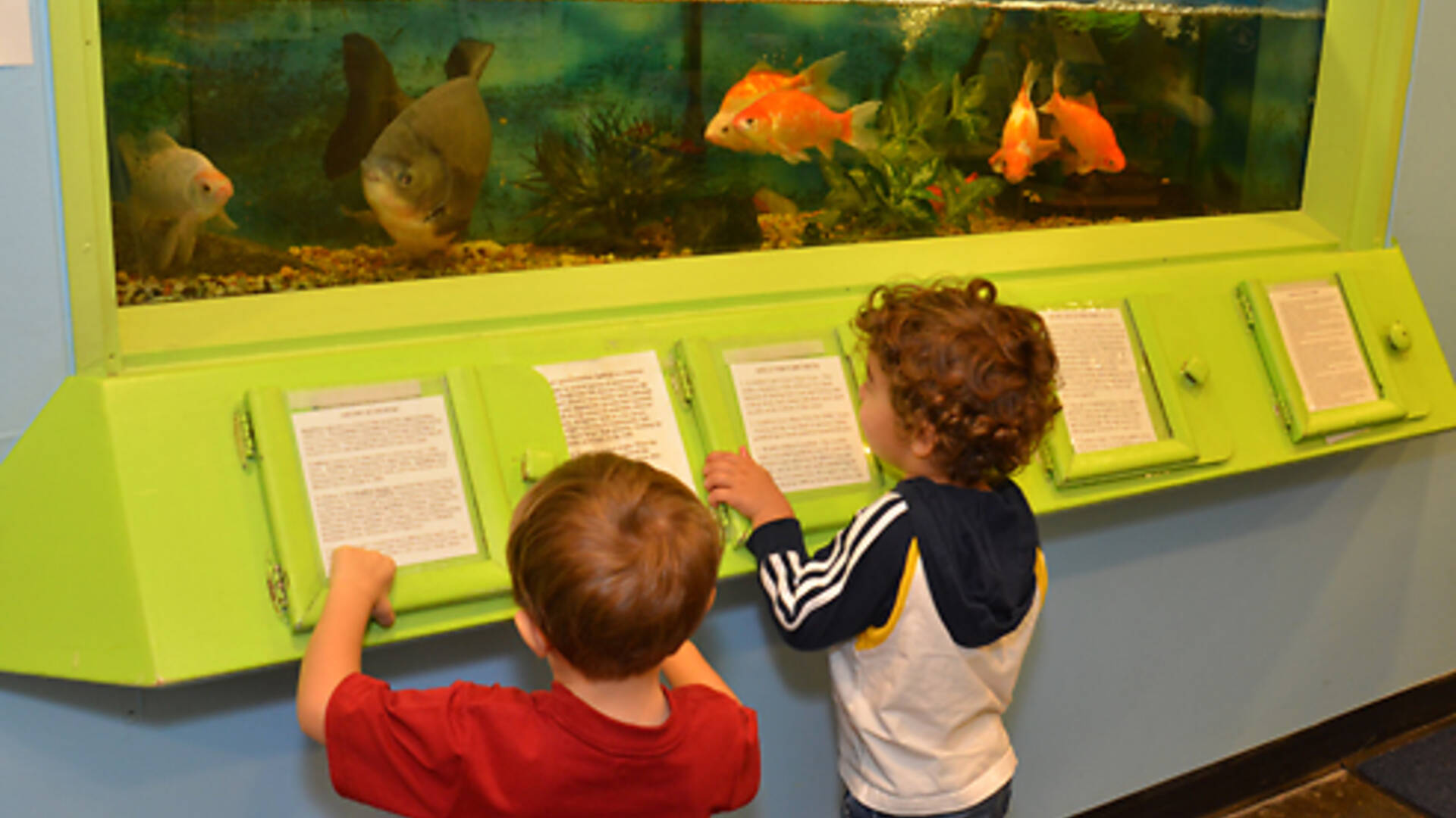 The Best NYC Nature Centers to Visit Now