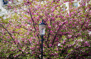 Amazing Events To See You Through April 2019 In London