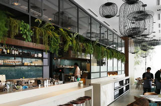 Wizards | Restaurants in Bukit Bintang, Kuala Lumpur