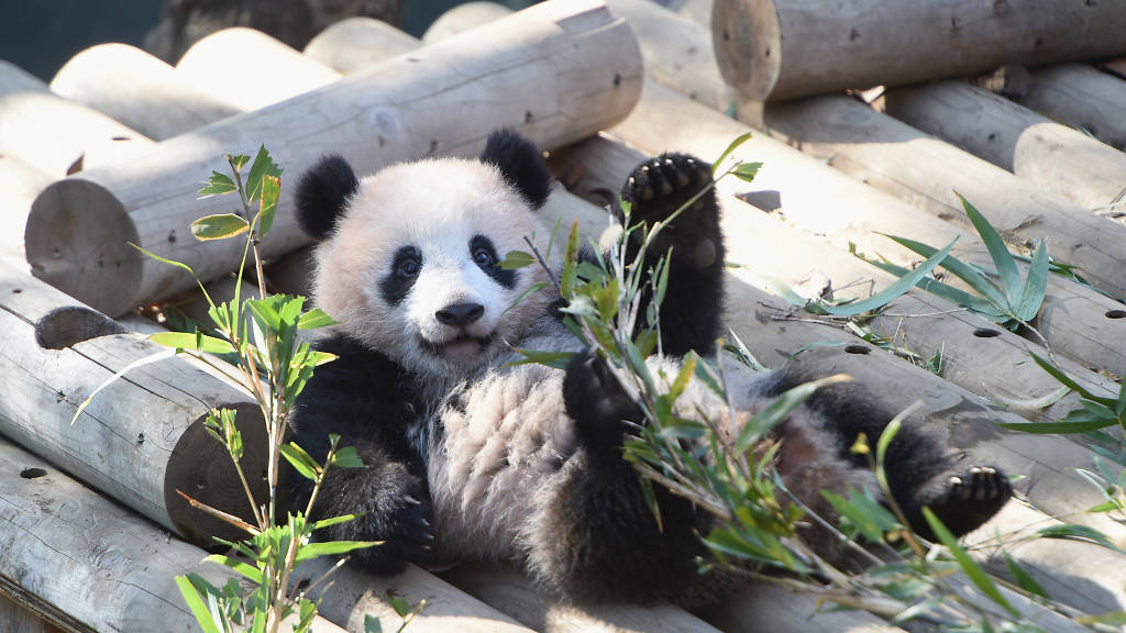 Best zoos and aquariums in Tokyo | Time Out Tokyo