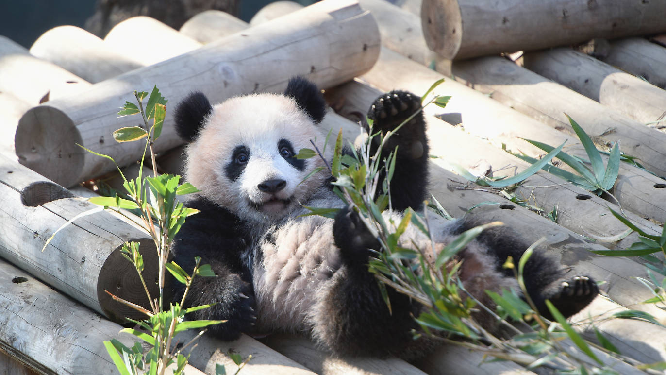 Best zoos and aquariums in Tokyo | Time Out Tokyo