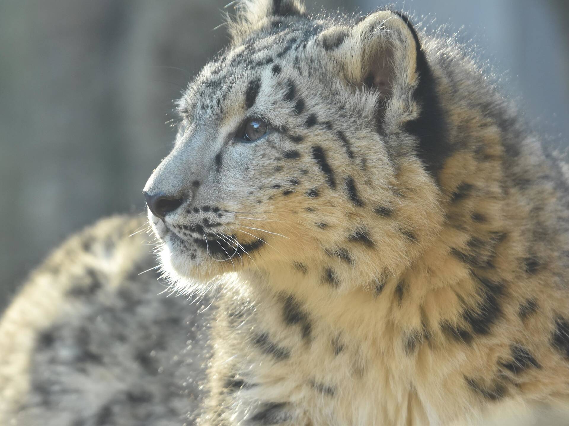 Best zoos and aquariums in Tokyo | Time Out Tokyo