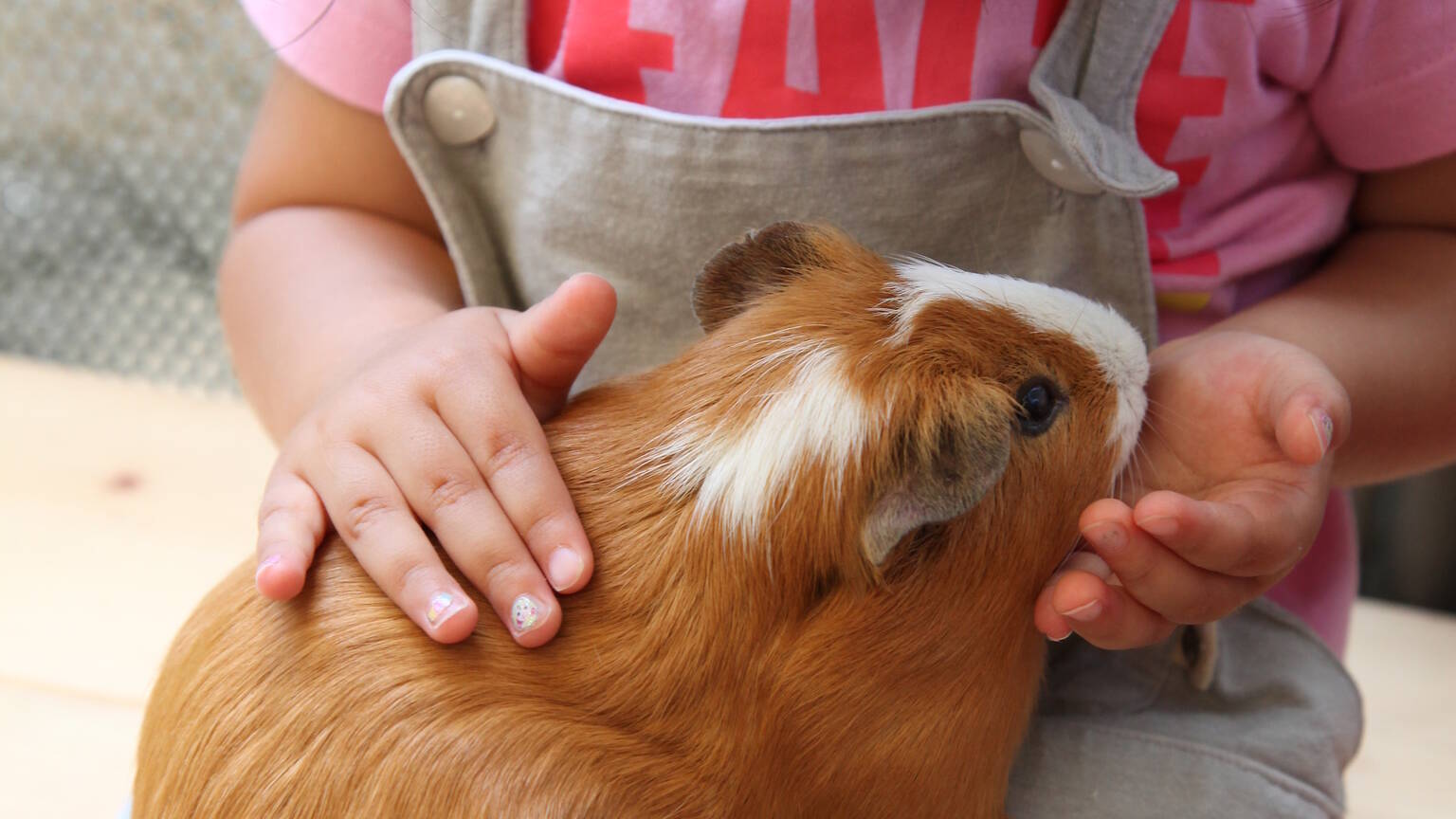 Best zoos and aquariums in Tokyo | Time Out Tokyo