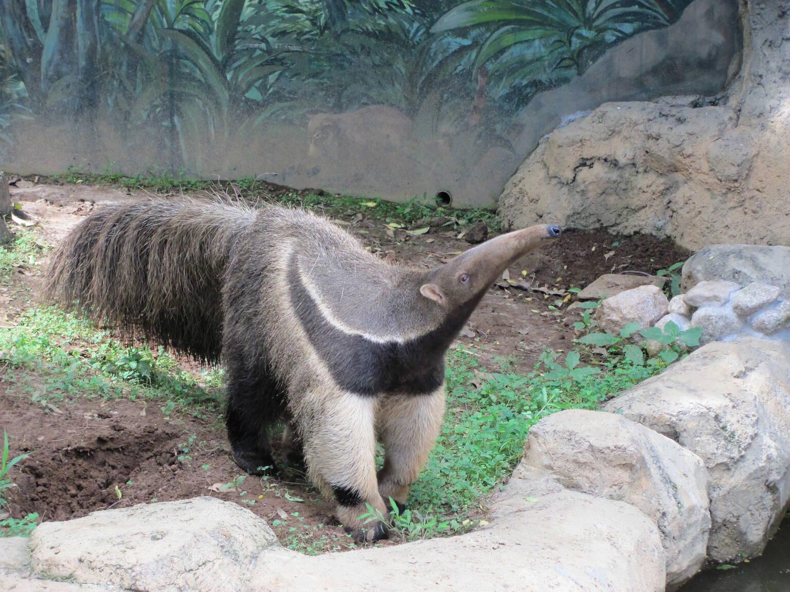 Best zoos and aquariums in Tokyo | Time Out Tokyo