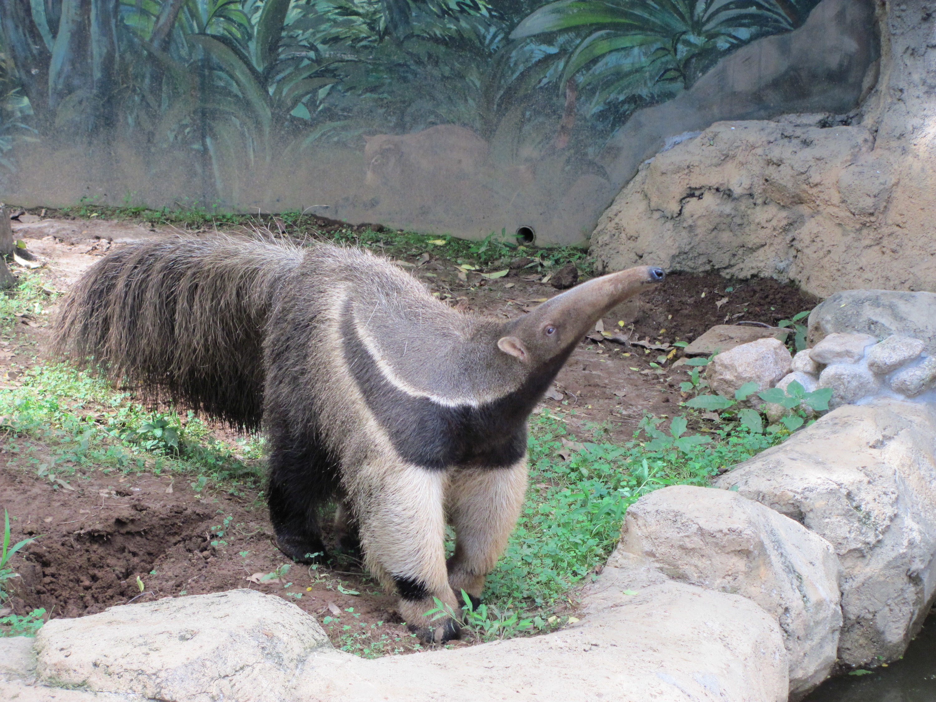 Edogawa Shizen Zoo | Attractions in Kasai, Tokyo