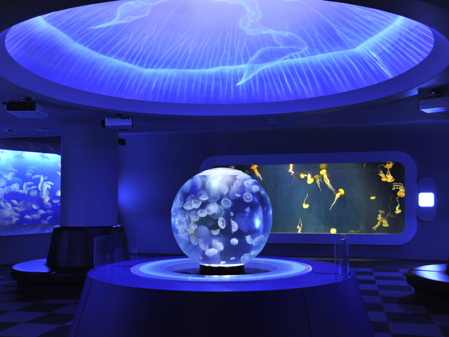 Best zoos and aquariums in Tokyo | Time Out Tokyo