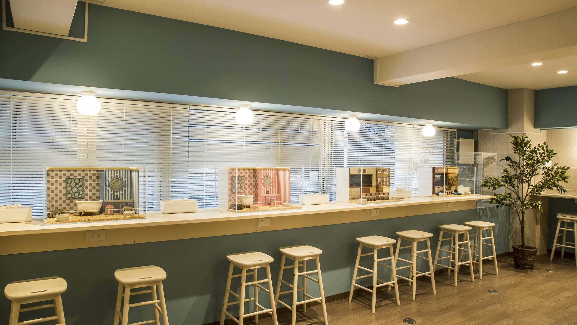 ChikuChiku Cafe | Things to do in Shibuya, Tokyo