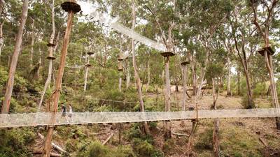 Live Wire Park | Attractions in Lorne, Melbourne