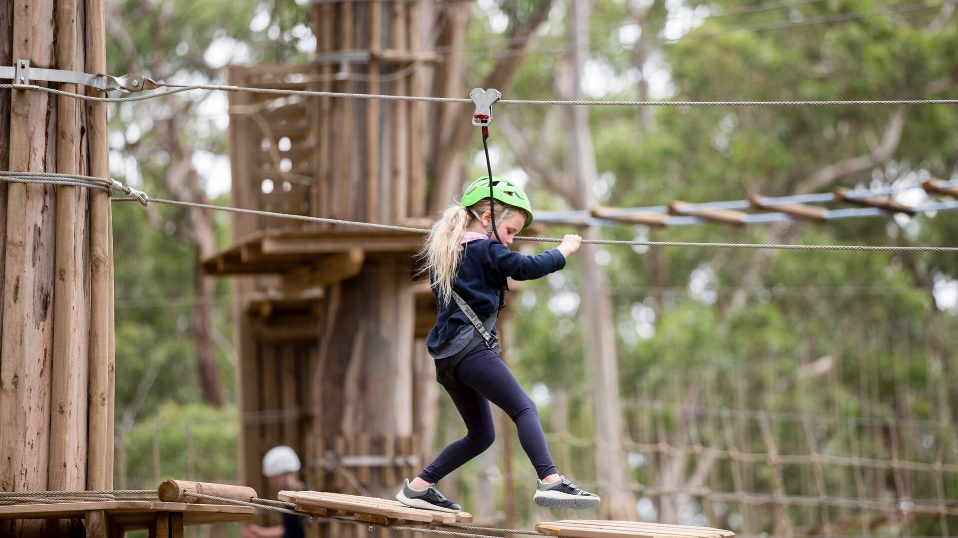 Live Wire Park | Attractions in Lorne, Melbourne