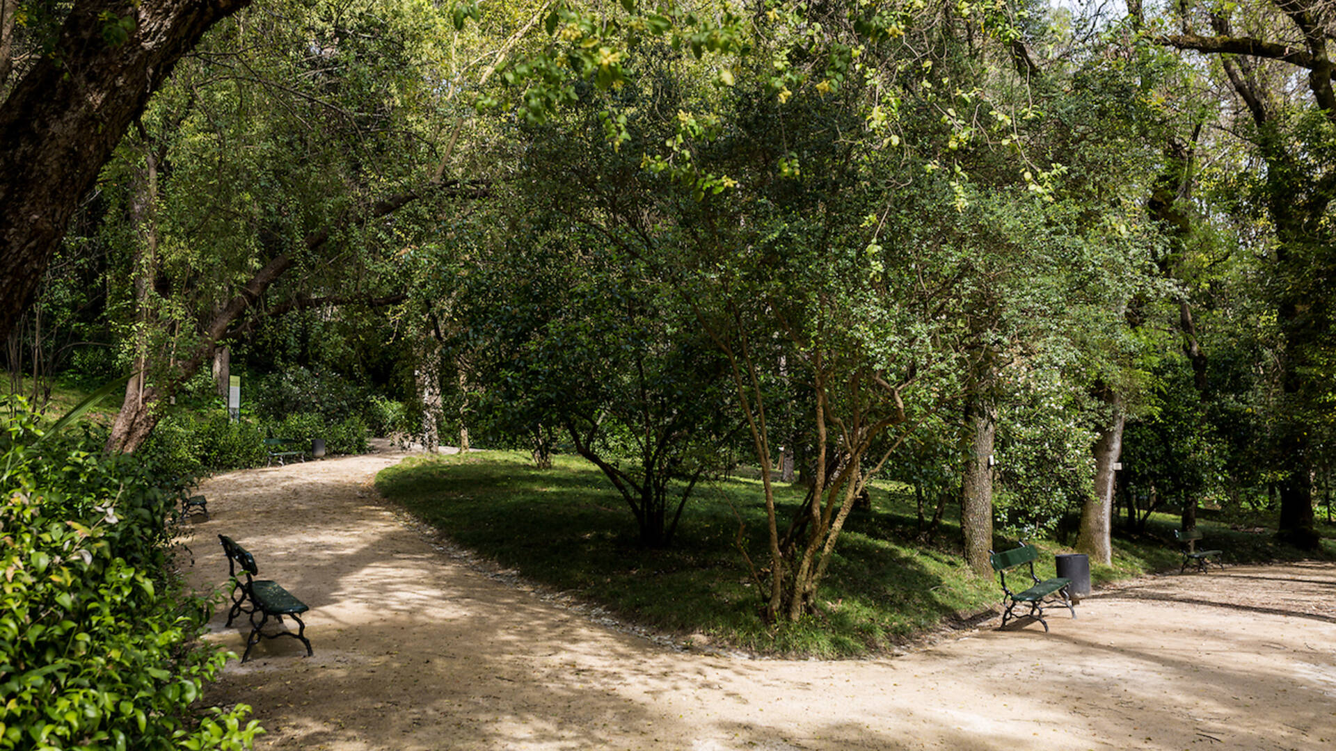 Da Estrela a Monsanto: 21 parques e jardins de Lisboa
