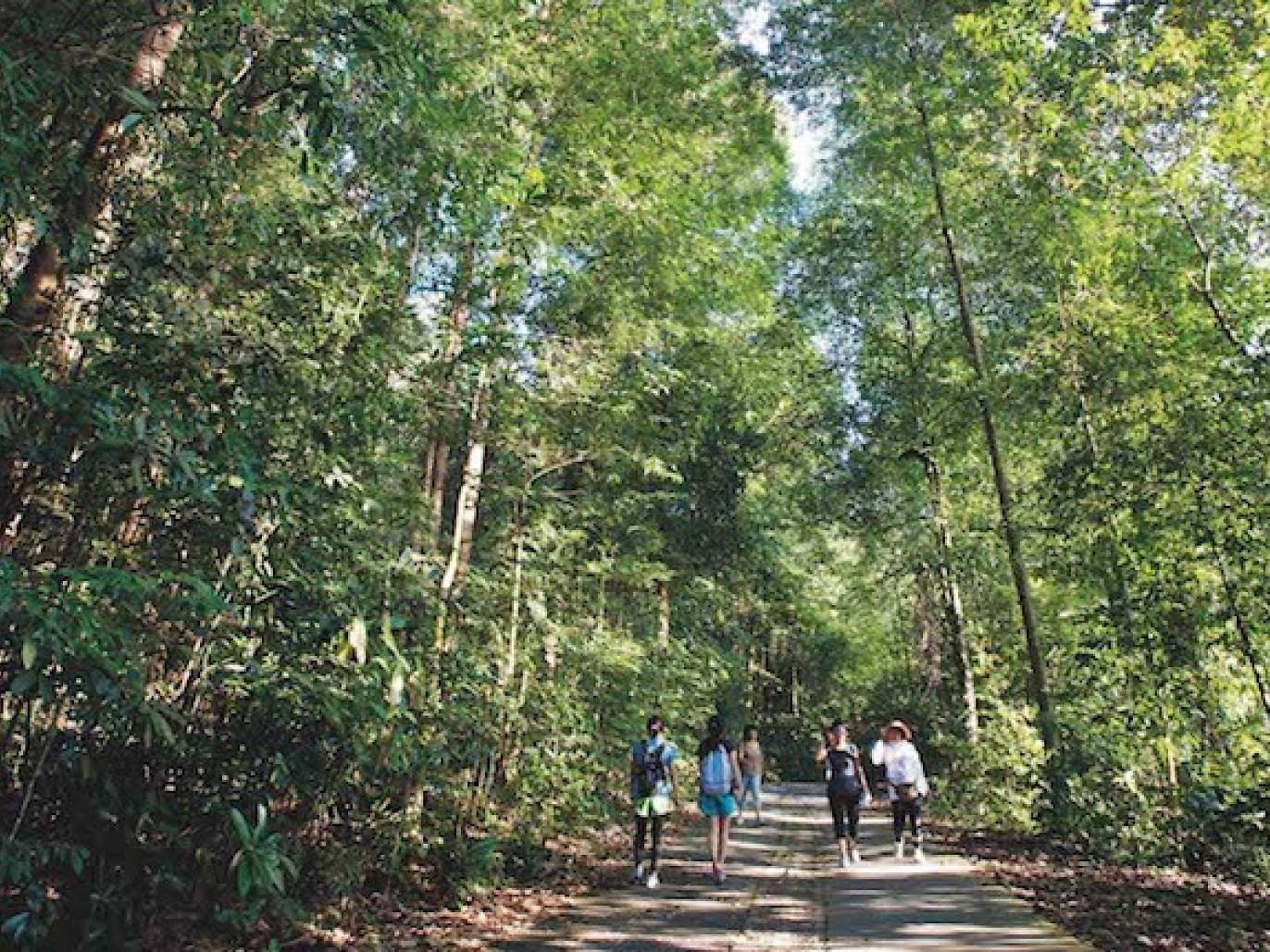 The Ultimate Guide To The Rail Corridor In Singapore