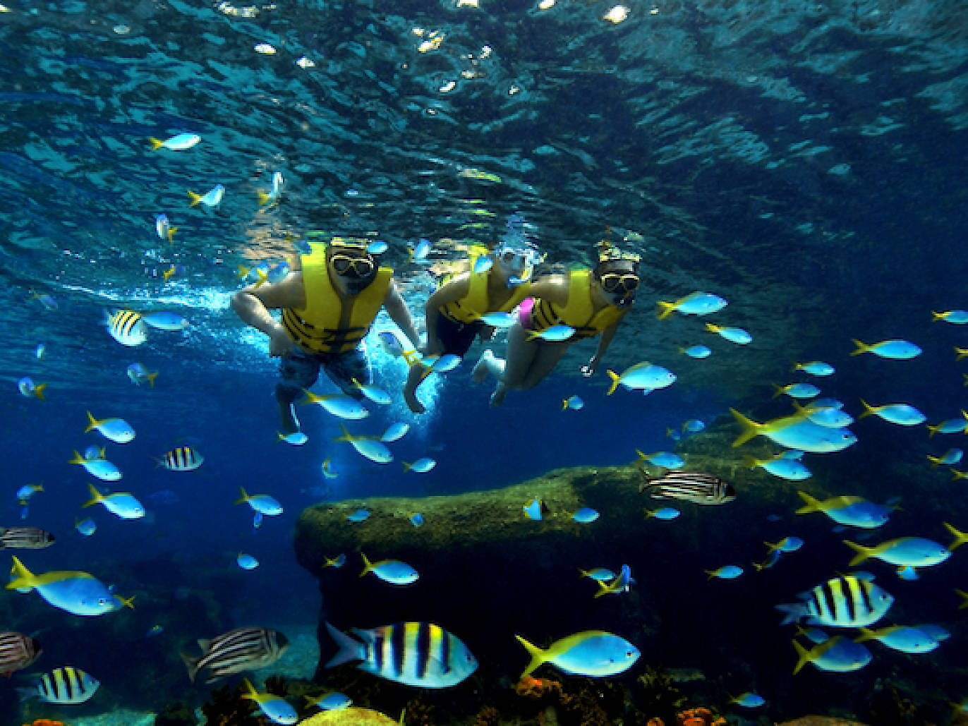 Where To Go For Outdoor Water Activities In Singapore