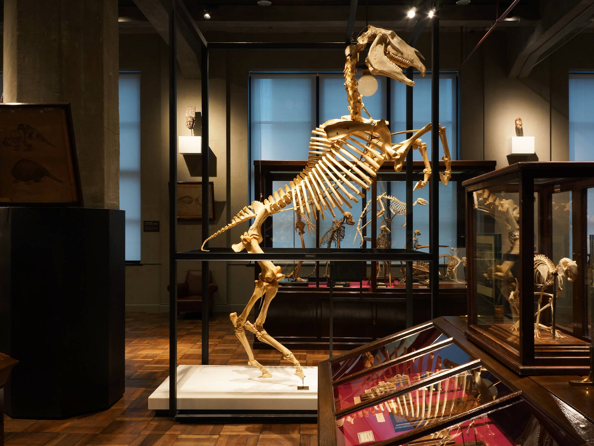 11 weird but wonderful museums in Tokyo