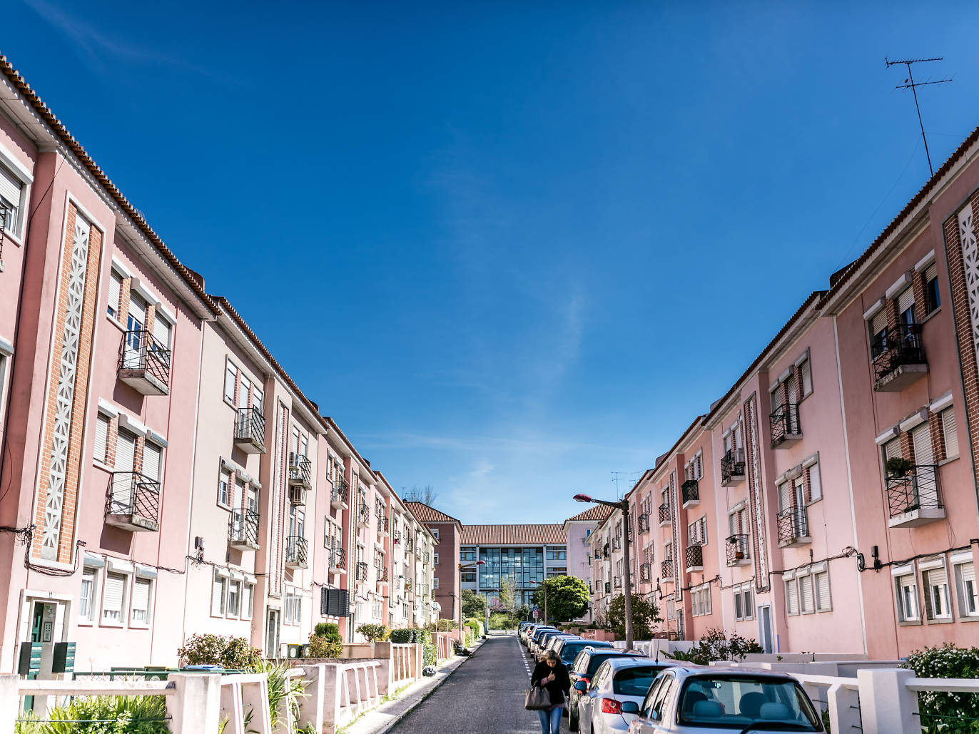 Bairros de Lisboa: o melhor de Alvalade