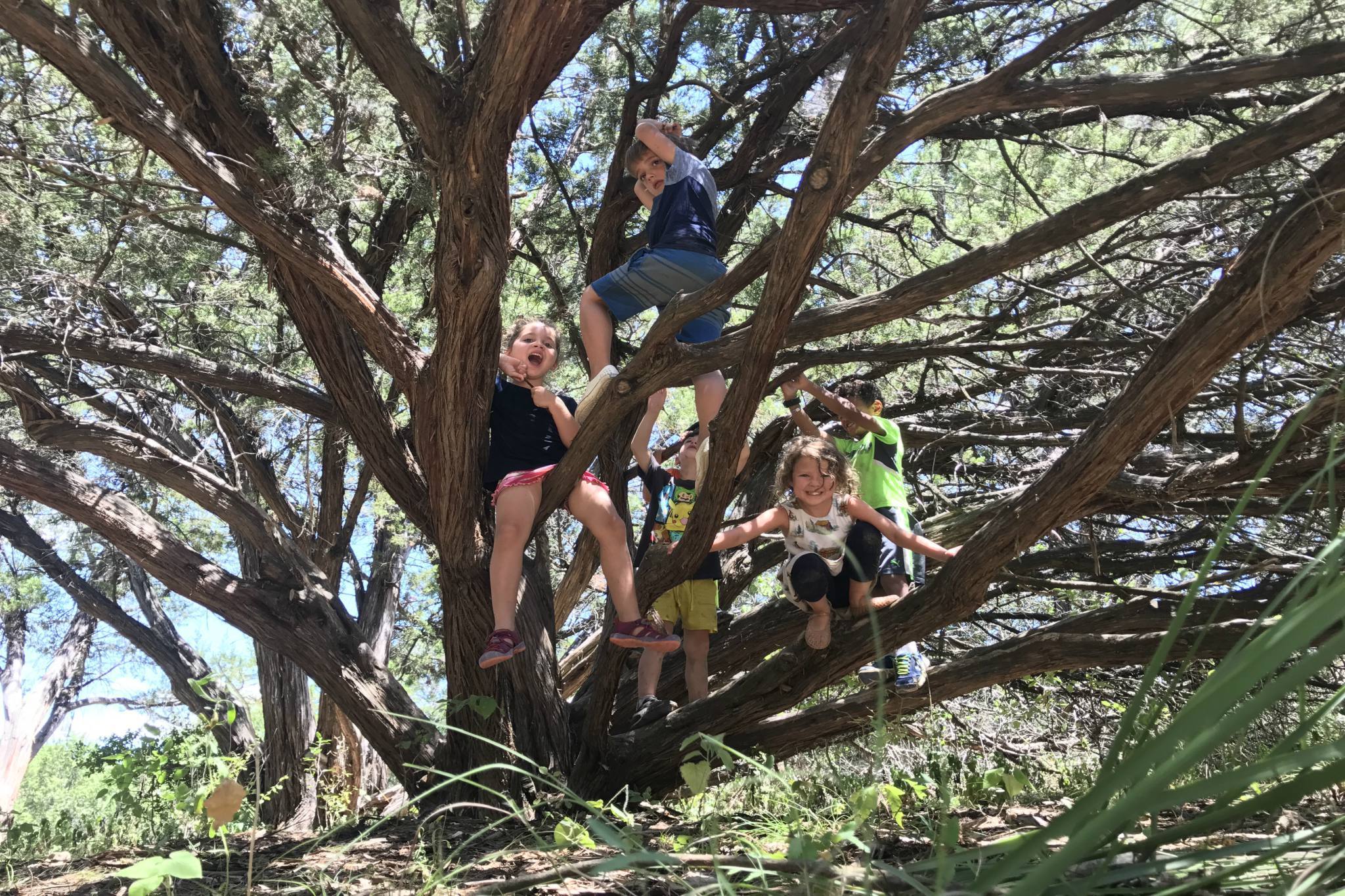 Earth Native School Camps | Things to do in Mckinney, Austin