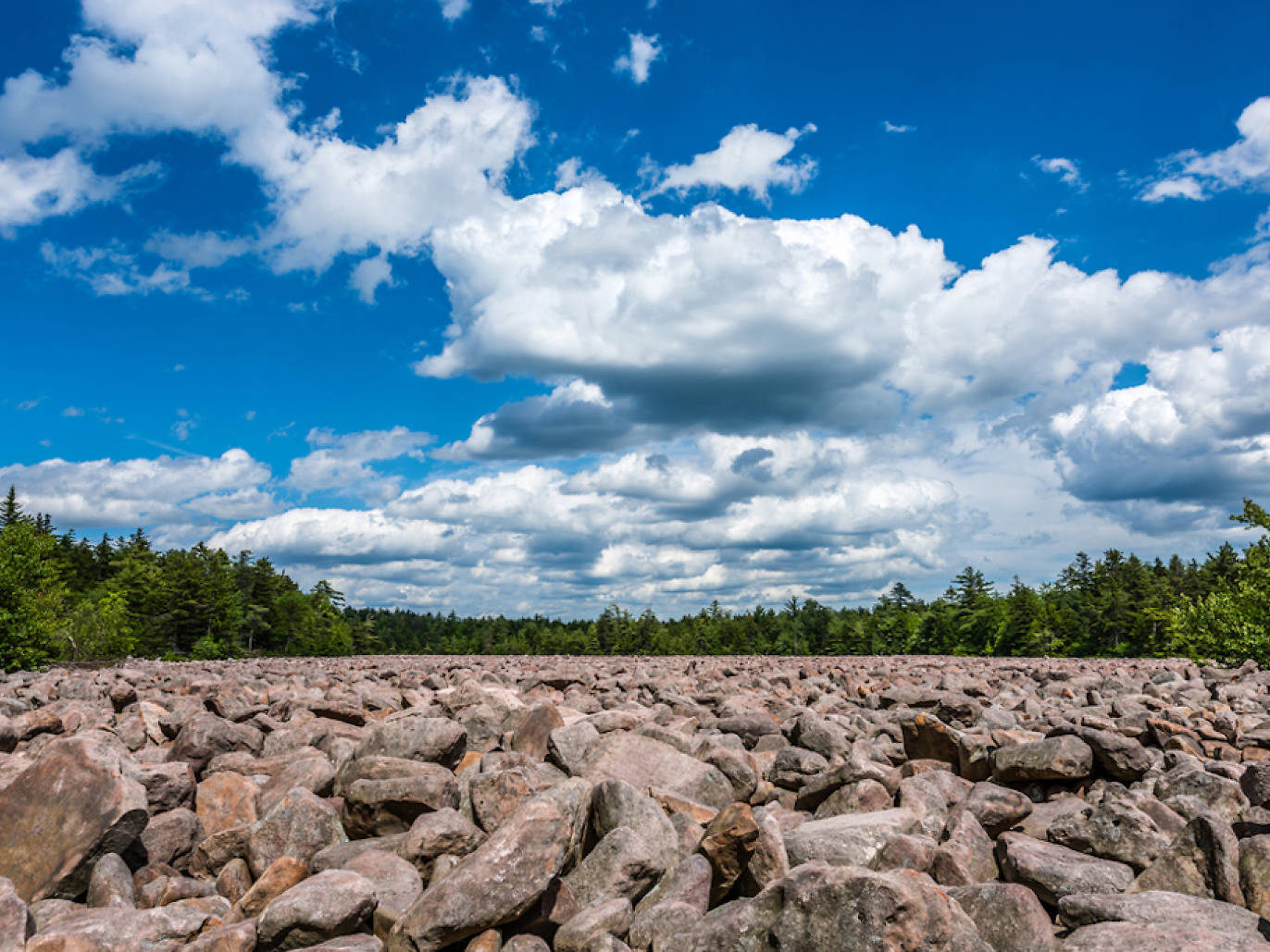 Where to go Hiking Near Philadelphia: 12 Best Local Spots