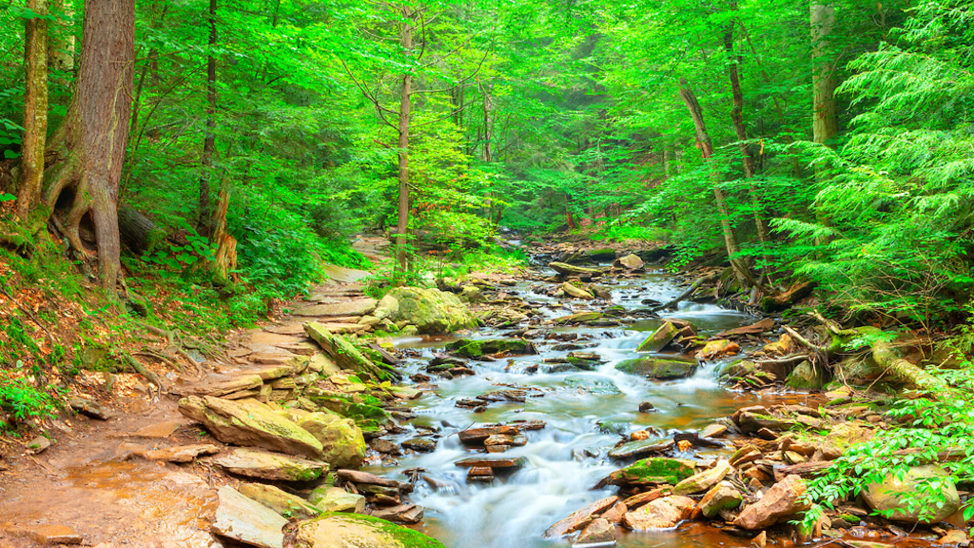Where to go Hiking Near Philadelphia: 12 Best Local Spots