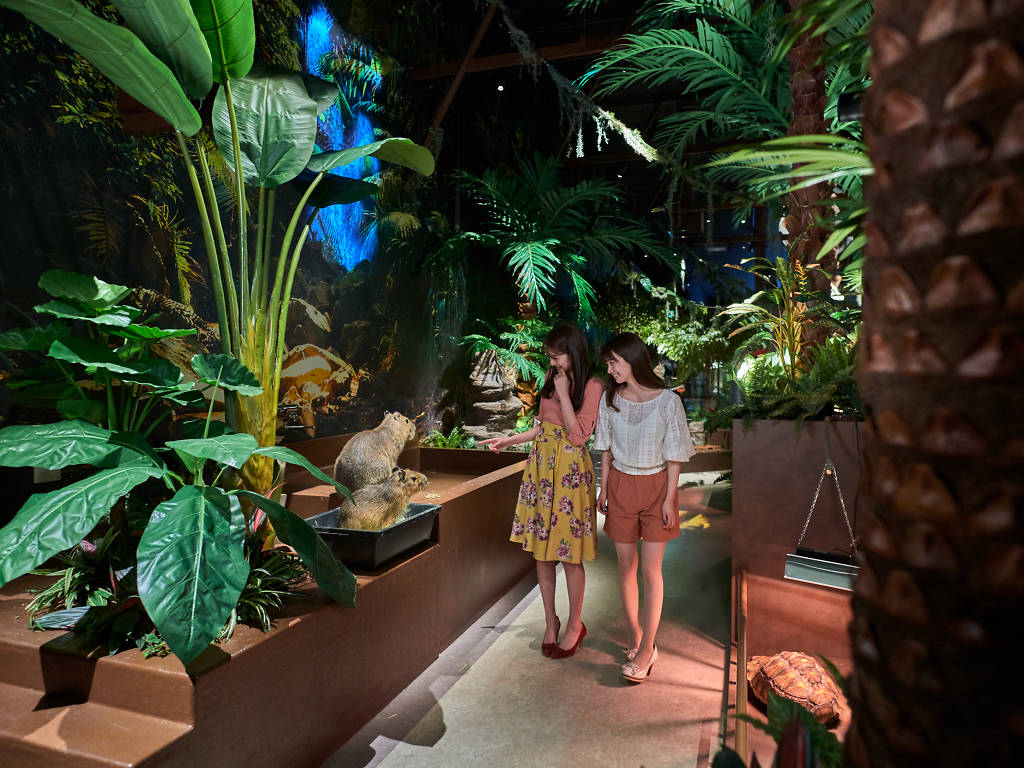 50 things to do in Yokohama | Time Out Tokyo