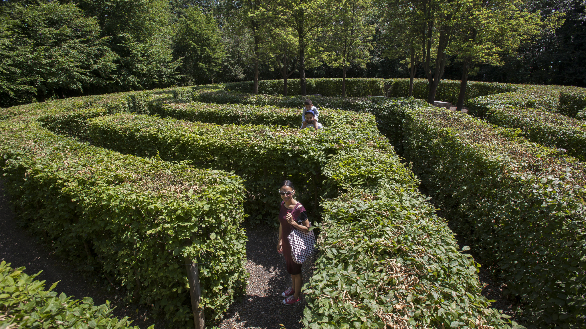 London's Secret Gardens | Hidden Gardens and Green Spaces in London