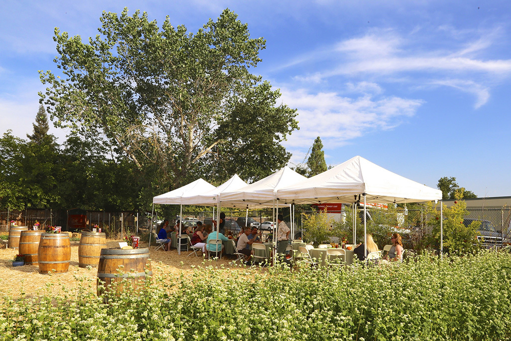 19 Best Things to Do in Sacramento Including Museums and Attractions