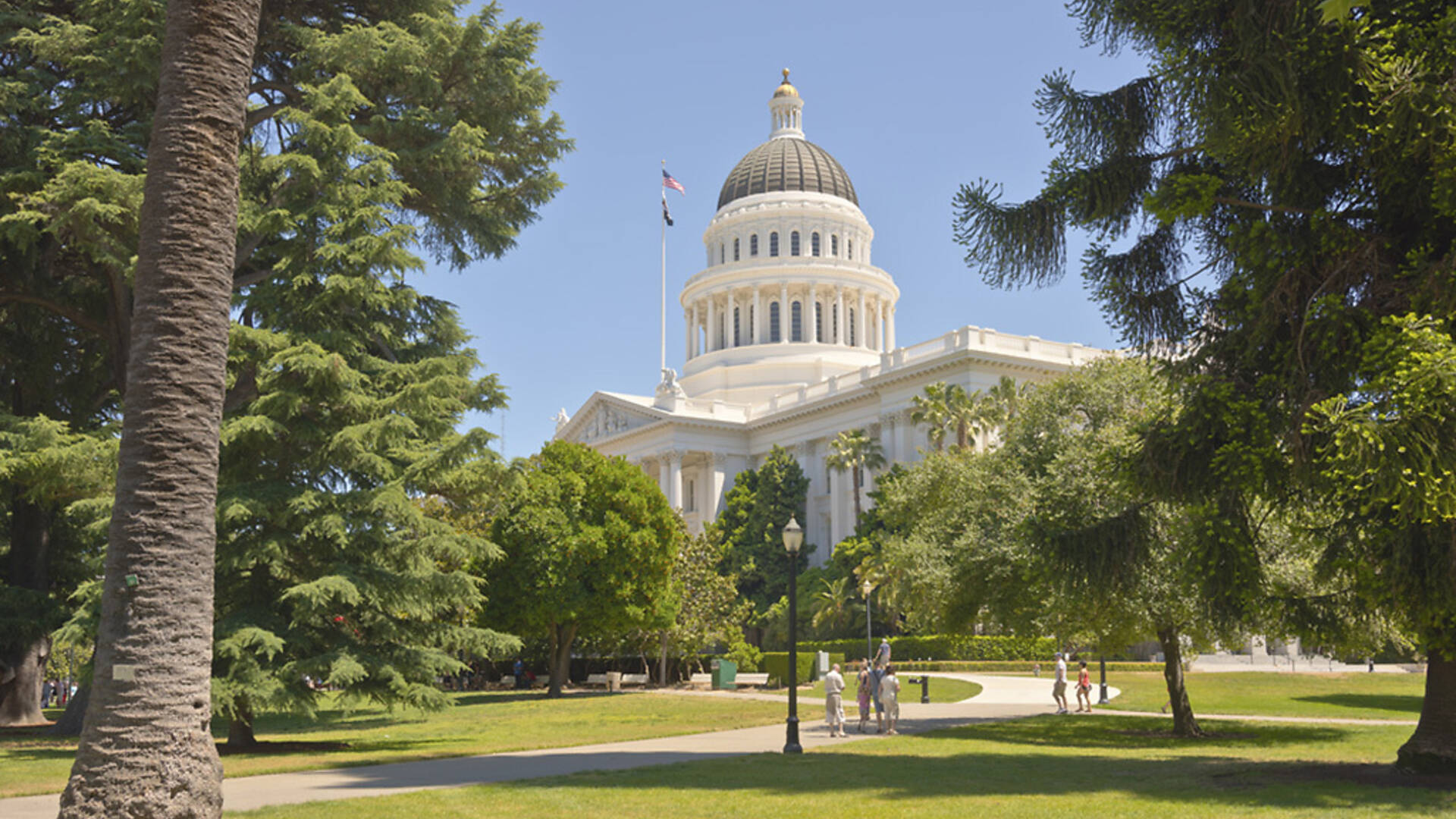 30 Best Things to Do in Sacramento Right Now