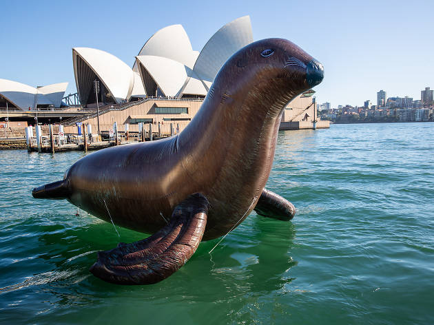 You can now talk to the Sydney Opera House seal