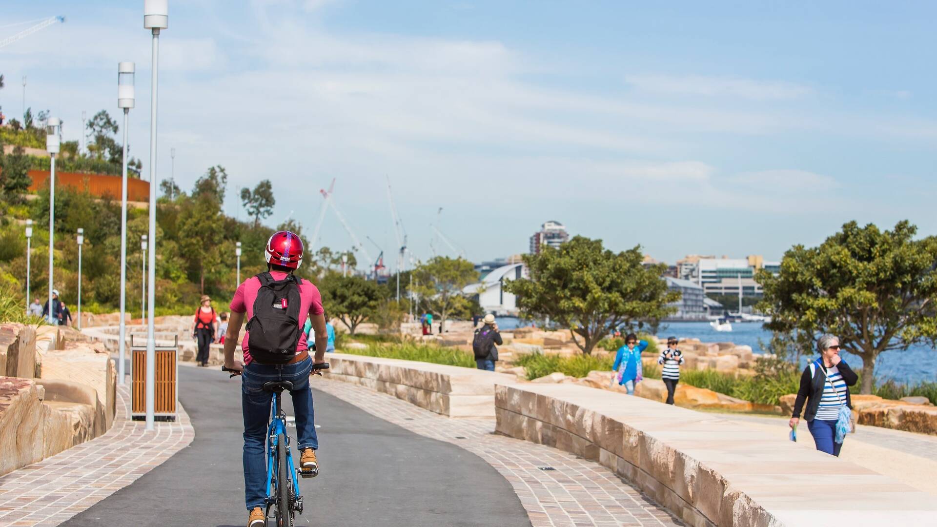 Barangaroo Reserve | Things to do in Barangaroo, Sydney