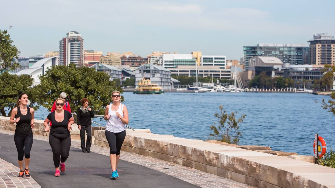 Barangaroo Reserve | Things to do in Barangaroo, Sydney