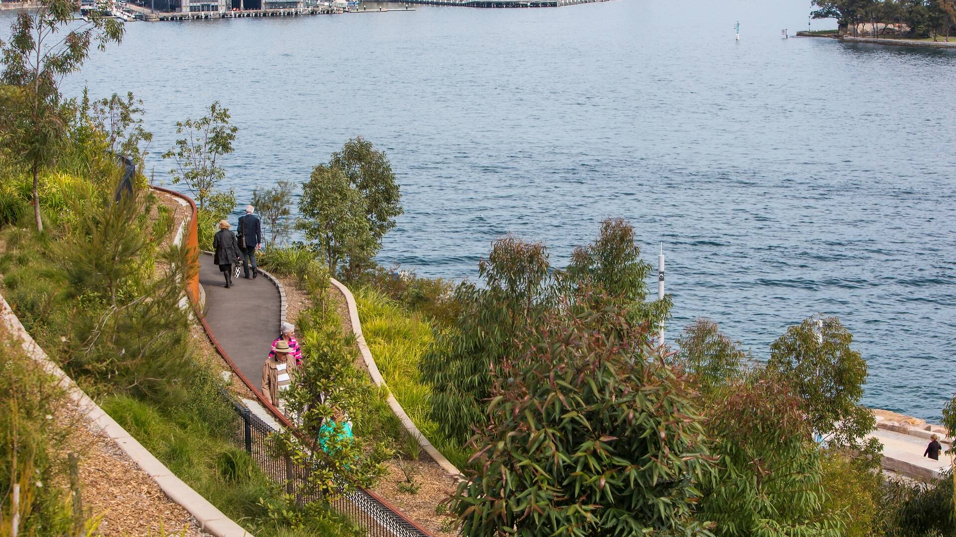 Barangaroo Reserve | Things to do in Barangaroo, Sydney