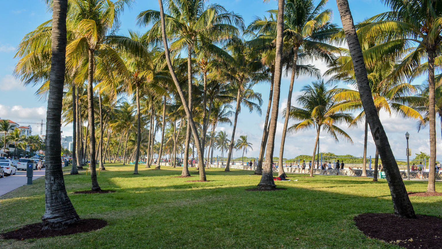 Miami Neighborhoods | Best Miami Neighborhoods | Time Out Miami