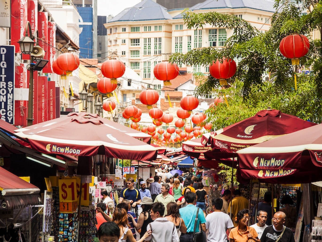 7 Days in Singapore: The Ultimate One-Week Itinerary